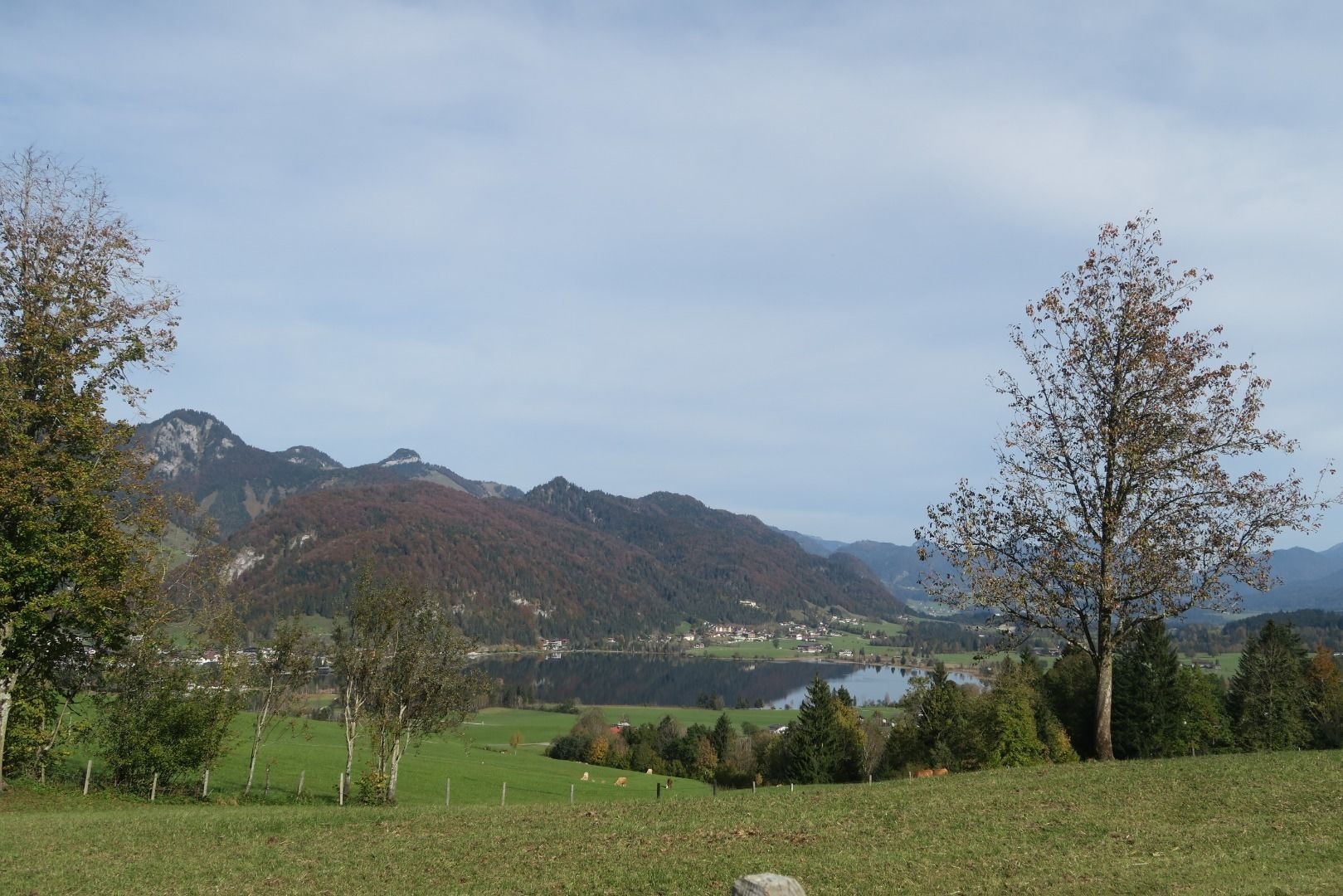 Hochbergrunde - Walchsee Nr. 45, 88, 52, 88